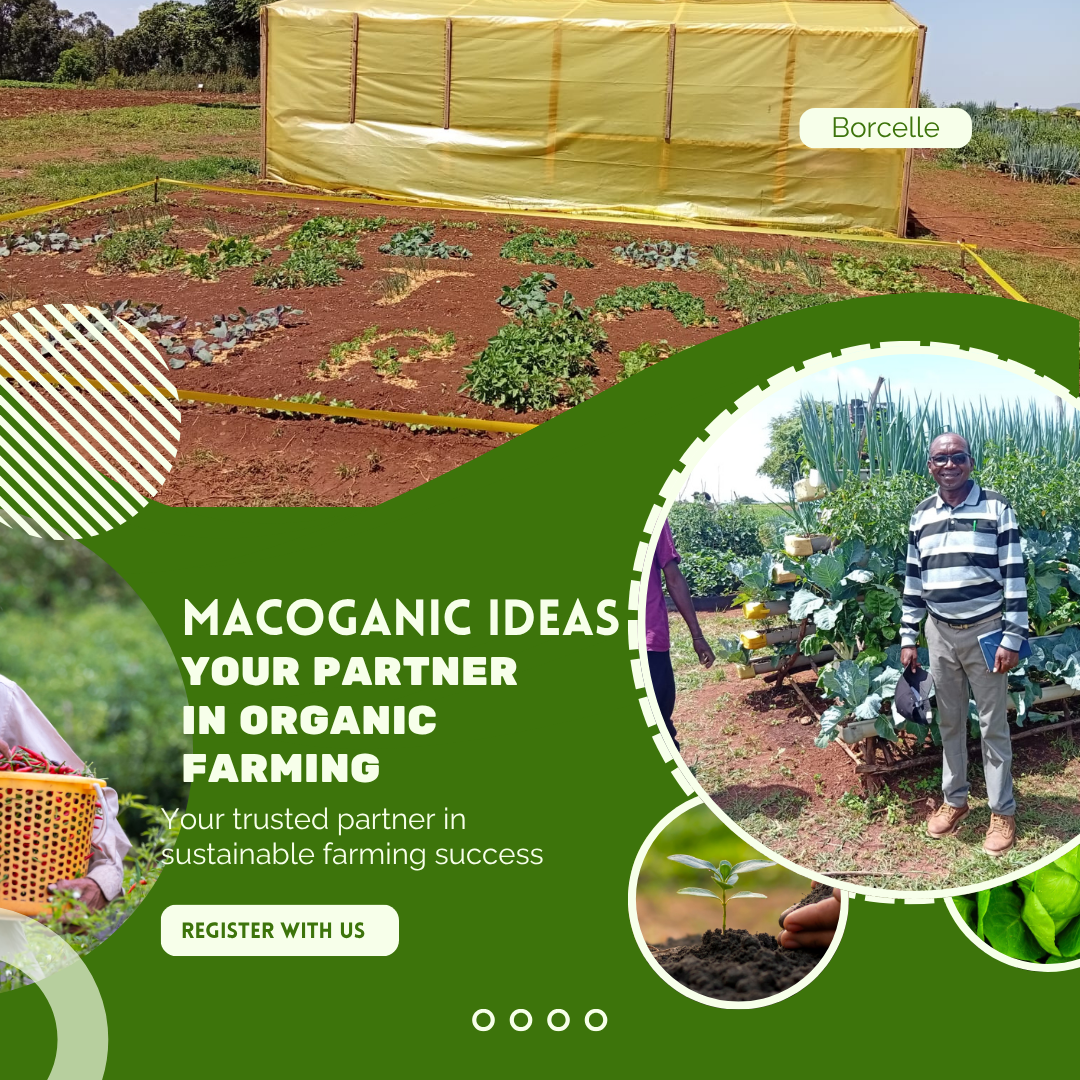 Services - Macoganics